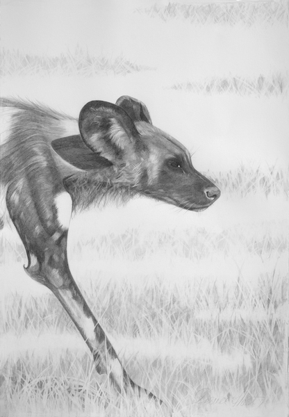 Desiree Hart – Hunting Dog – The Wildlife Art Society International